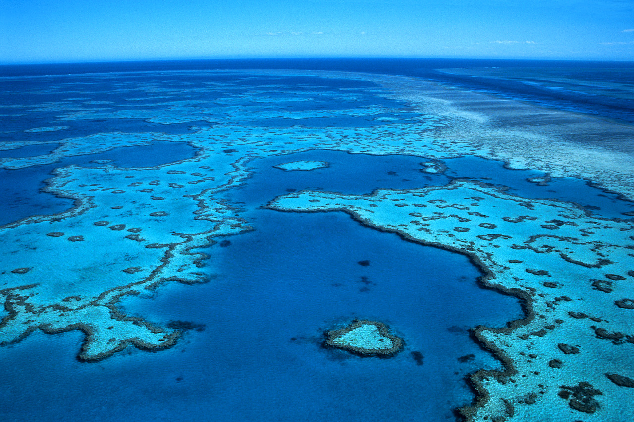 Great Barrier Reef Memories Lost In Australia
